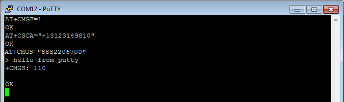 PuTTY_Command_Line_Text_Msg_Test - AVTECH